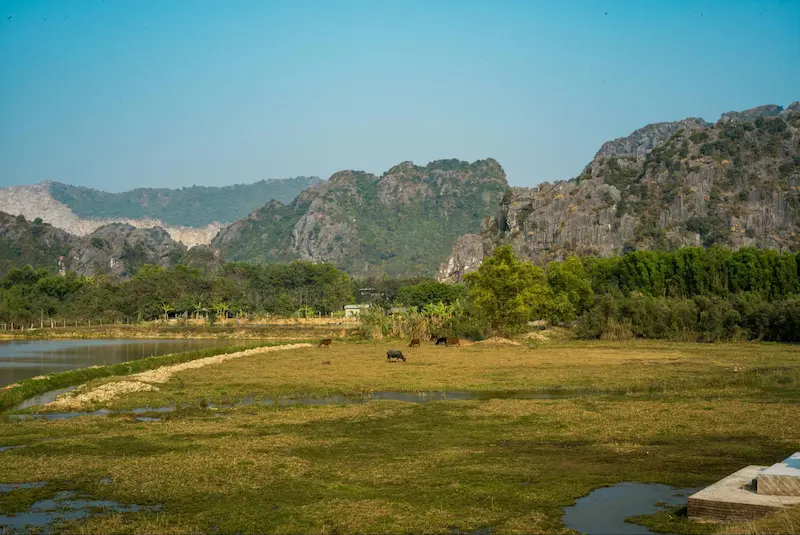 What to Pack for a Jungle Trek in Vietnam (2026)