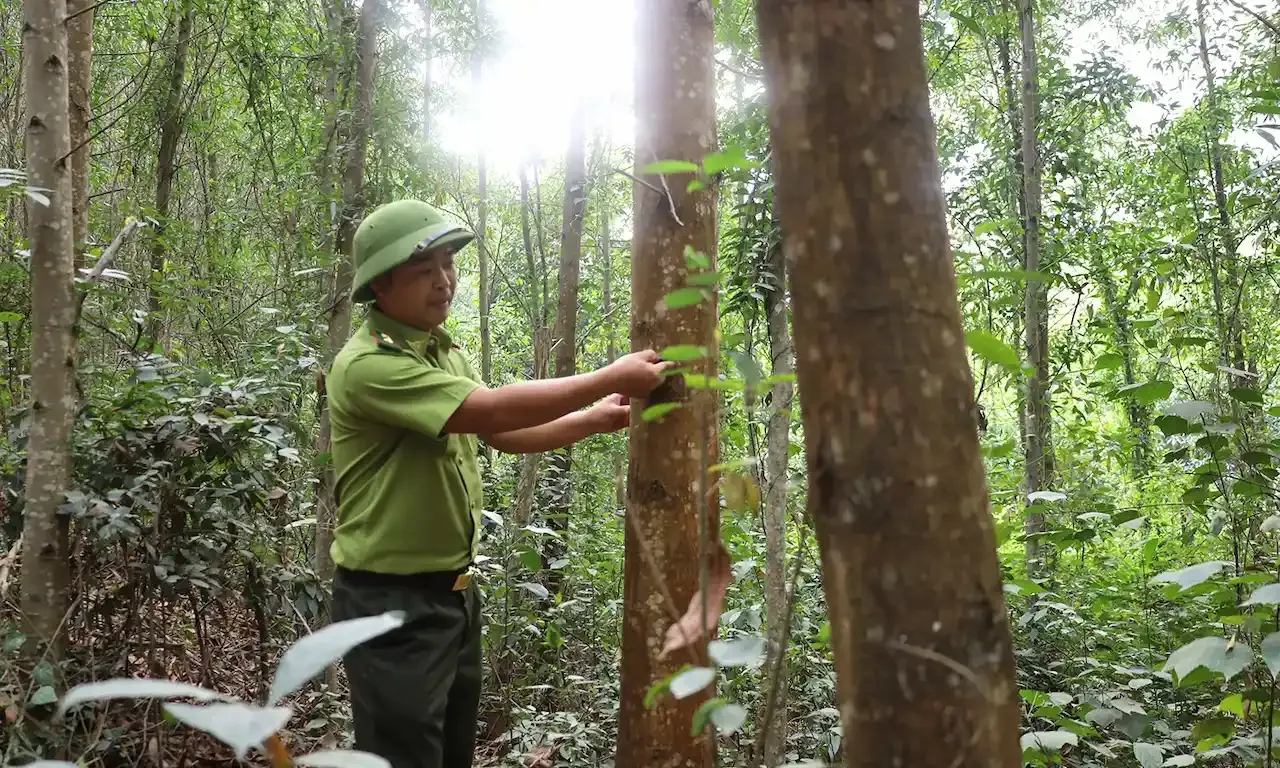 Net Zero Adventure Tours Vietnam | Jungle Boss Phong Nha