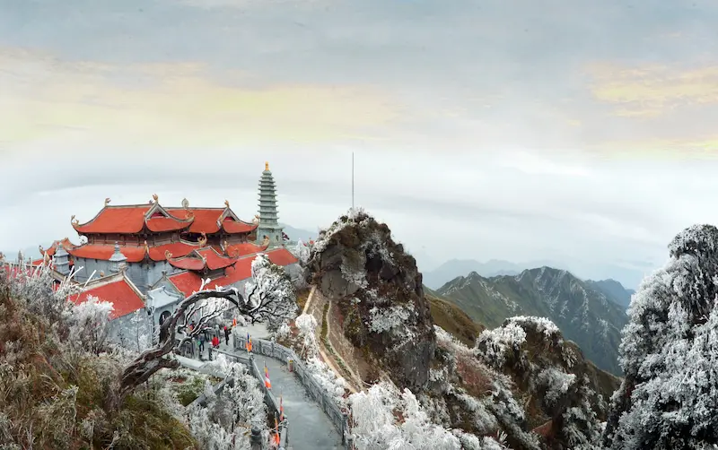 You Won’t Believe Vietnam Gets Snow! Ultimate Winter Travel Guide